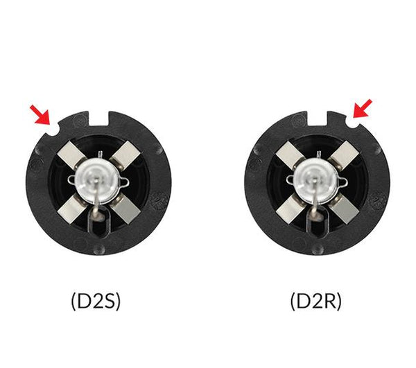 D2R Xenon HID Bulb – GT Auto Source